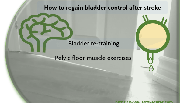 bladder control – strokecarer.com