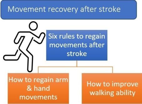 movement recovery after stroke – StrokeCarer